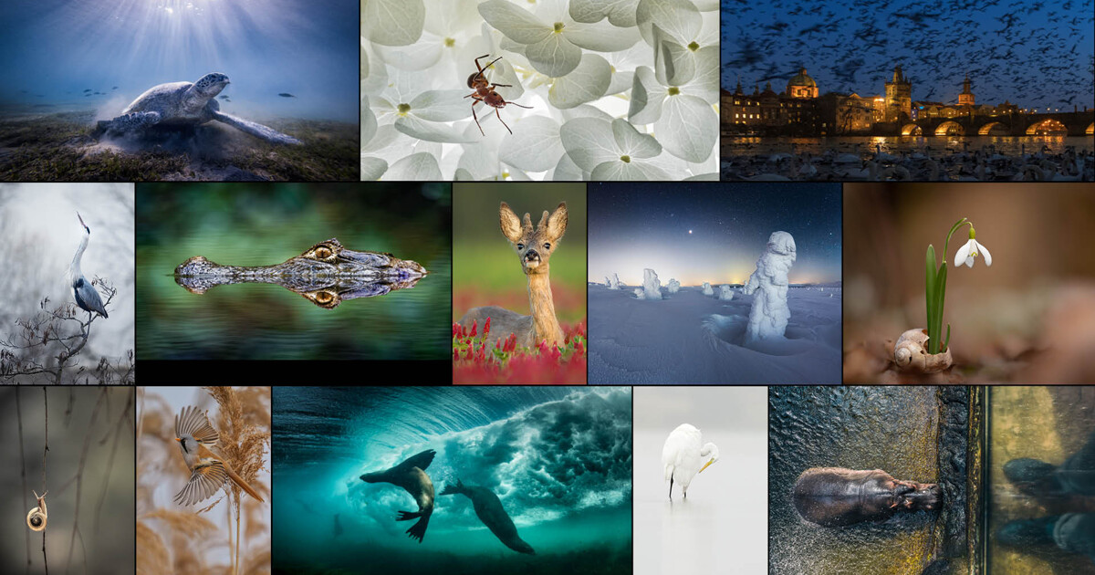 Výstava CZECH NATURE PHOTO 2019 v Národním zemědělském muzeu | Kalendář ...