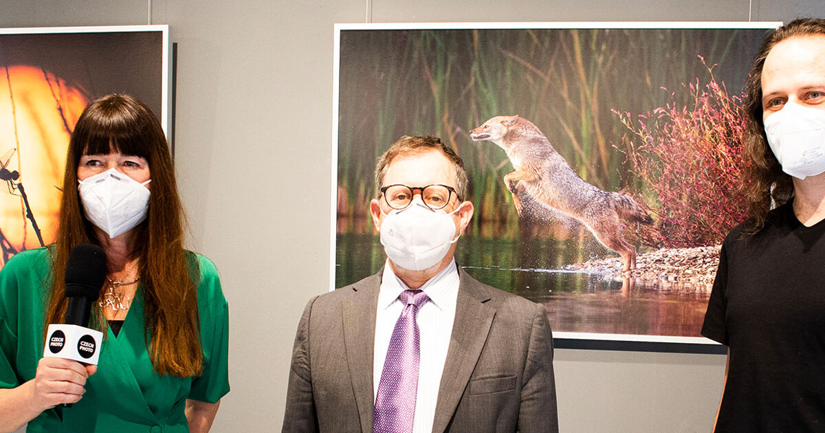 Výstava Boaze Amidrora byla v CPC zahájena on-line | Novinky | Czech ...